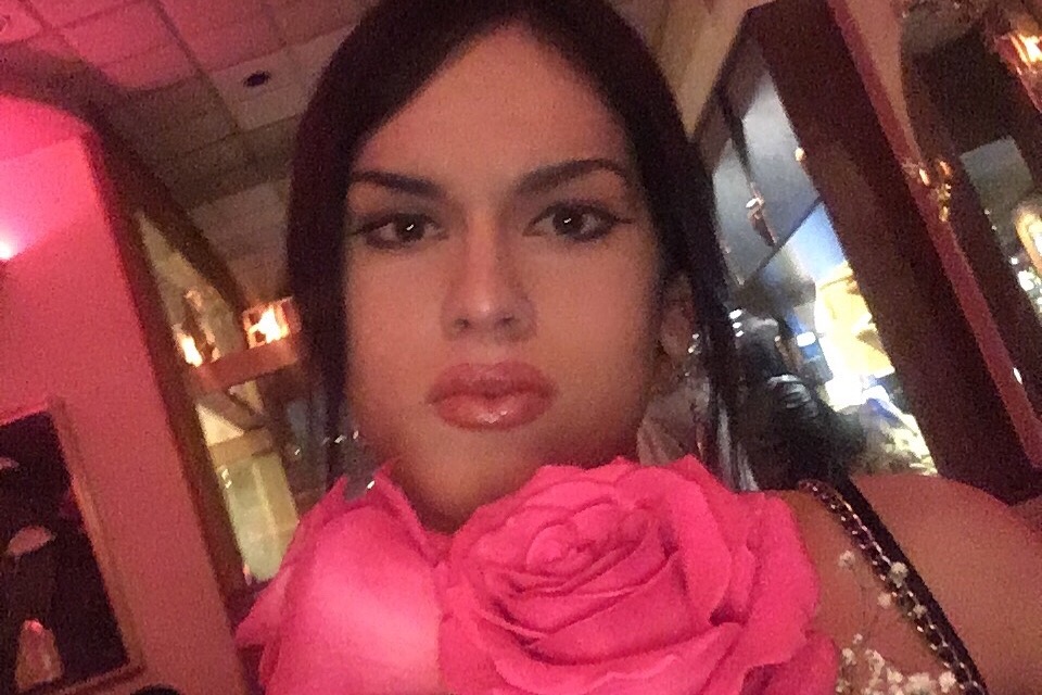 Fundraiser by Cali Rose : Cali Rose recovery fund