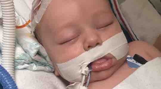 Fundraiser by Ryan Pierini : David Michael Medical Expenses