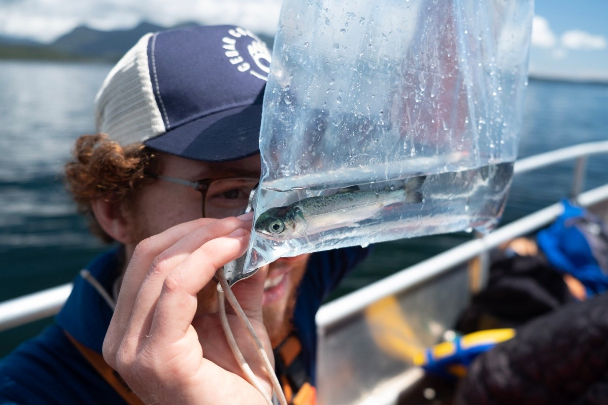 Fundraiser by Cedar Coast : Ocean Health Monitoring & Education in ...