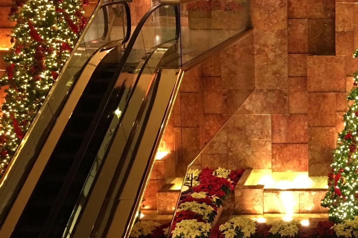 Fundraiser by Team Trump : Golden Escalator • Air Force One • Trump 2020