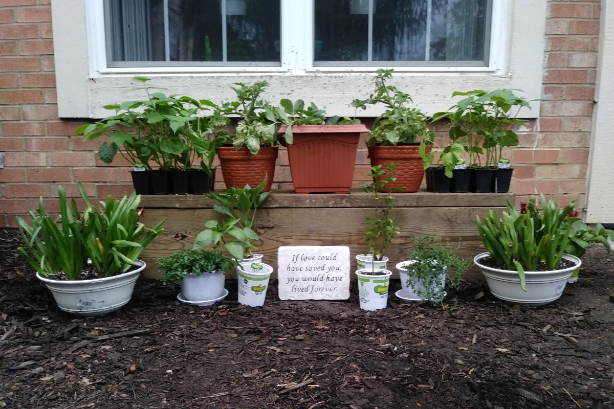 Fundraiser for Sarah Macneill by Vicki Hopkinson : Lost Her Fiance ...