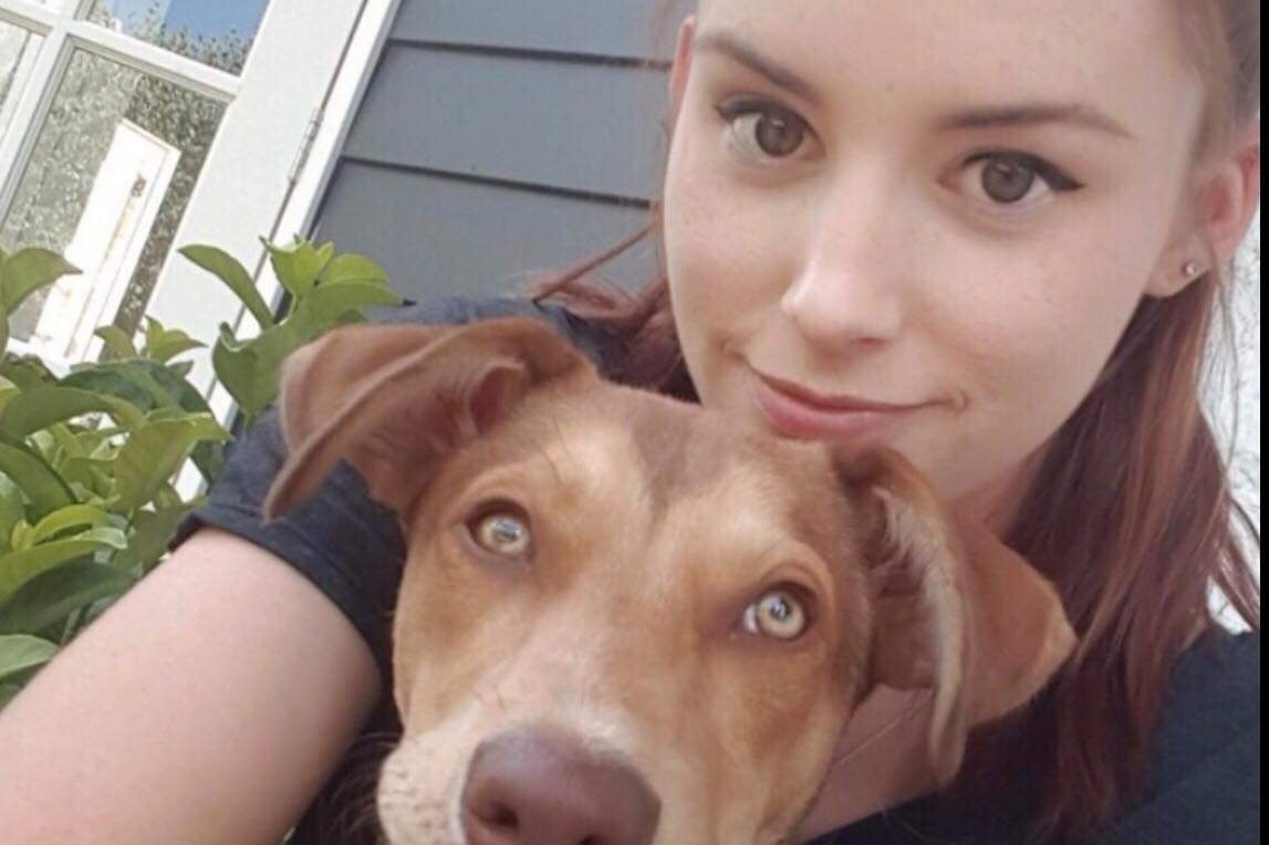 Fundraiser by Bella Rose : Hope for Banjo