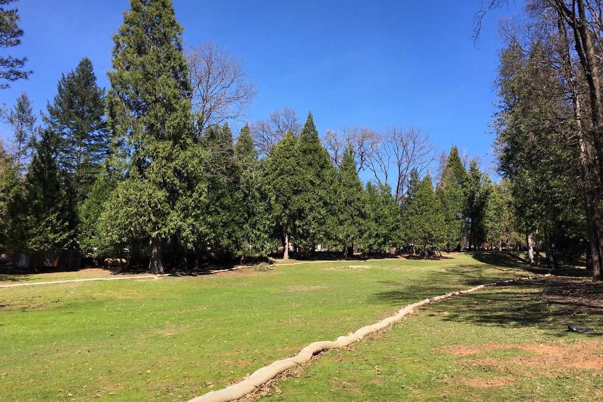 Fundraiser by Chris Rauen : Magalia Community Park on the Green