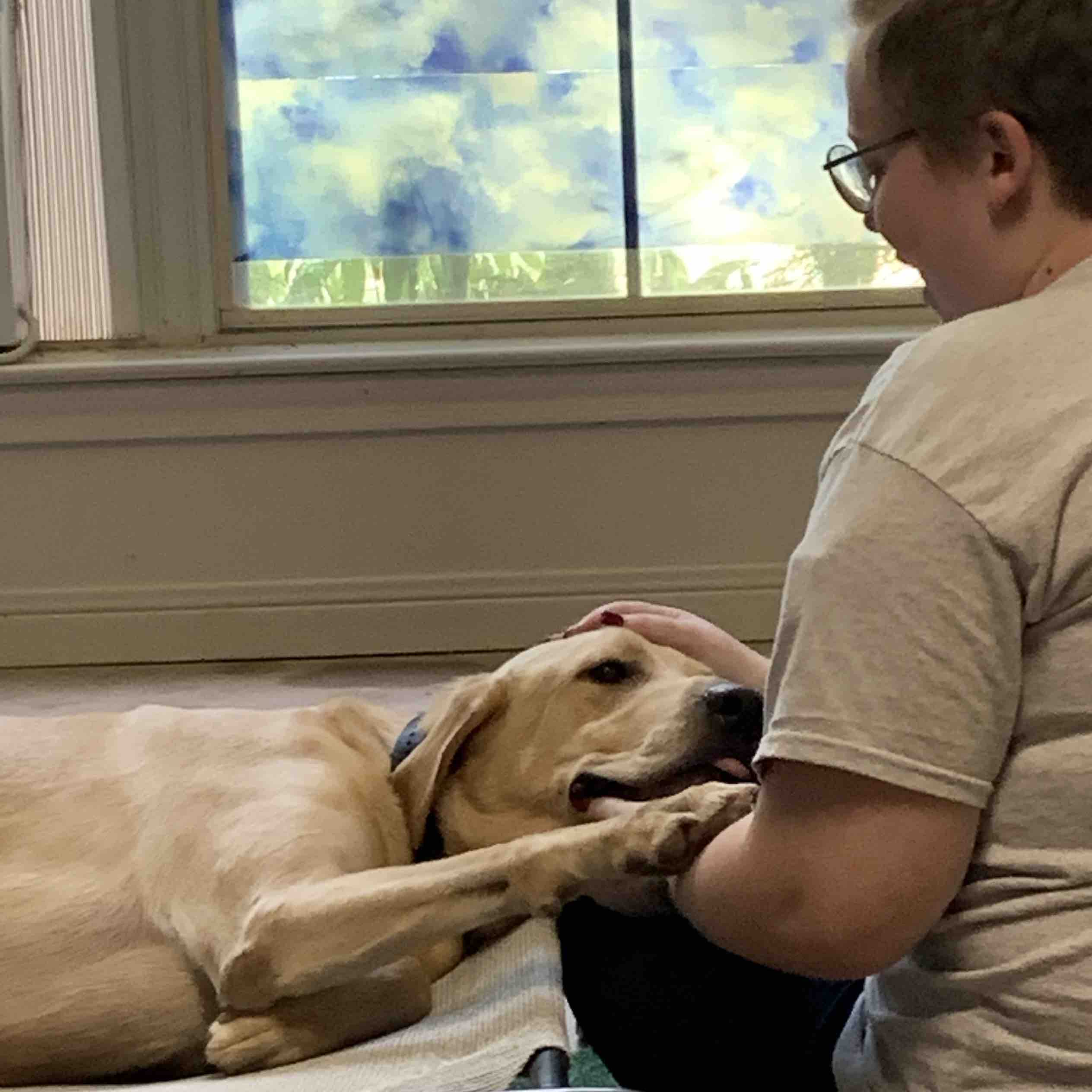 Fundraiser by Amy Zink : Until there is a cure, there is a dog