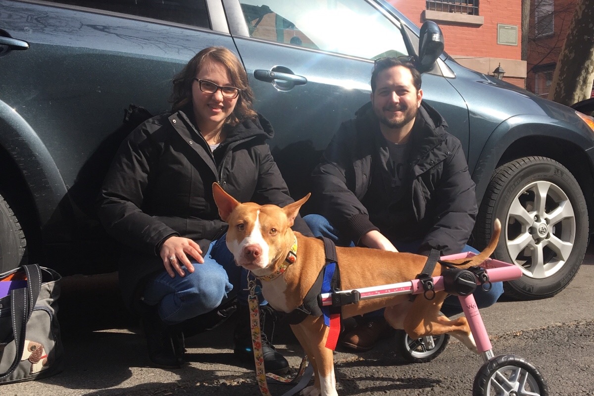 Fundraiser by Chelsea Fournier : Fabulous Miss Frida Medical Fund