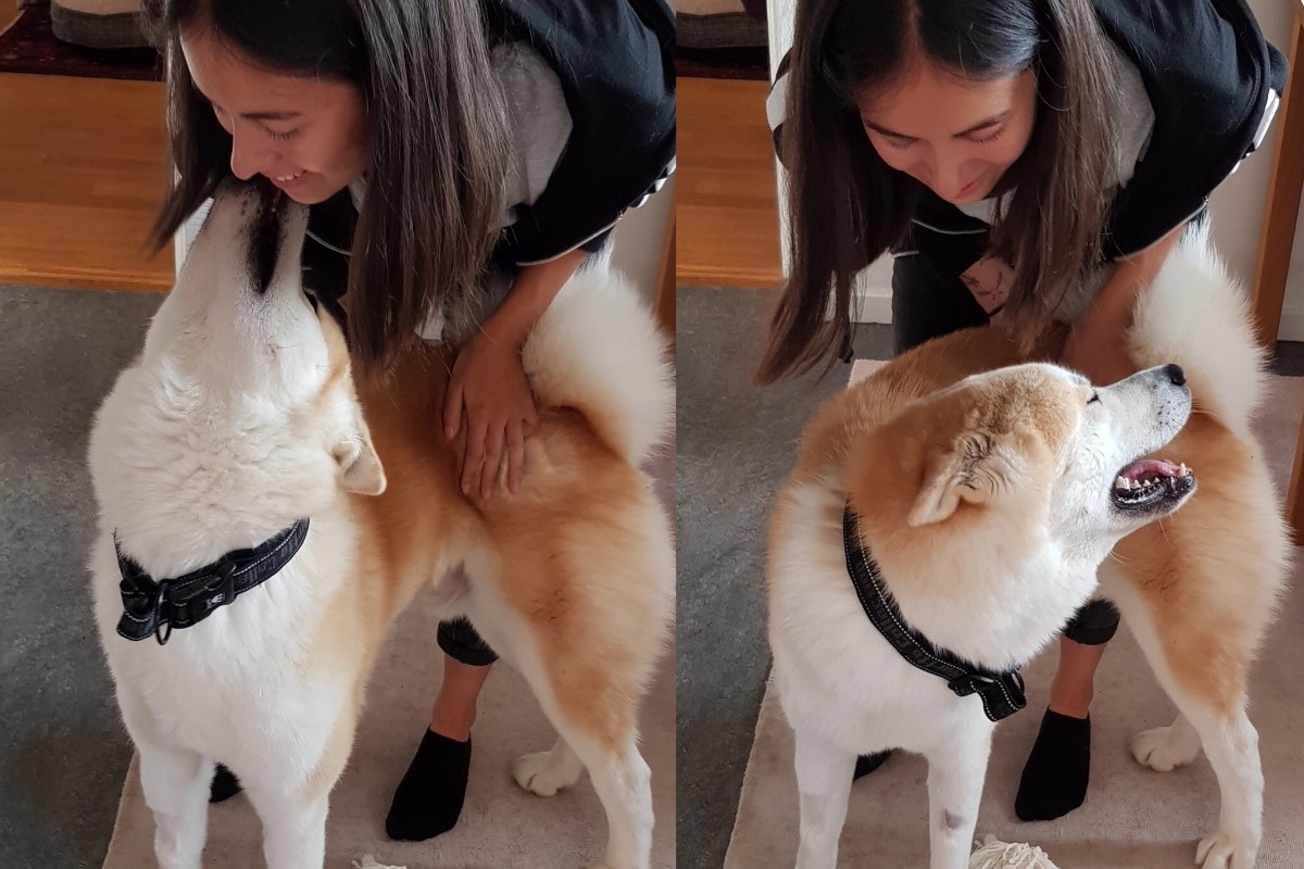 Fundraiser by Molly Ericson : Vet bill - help us get Hatchi home!