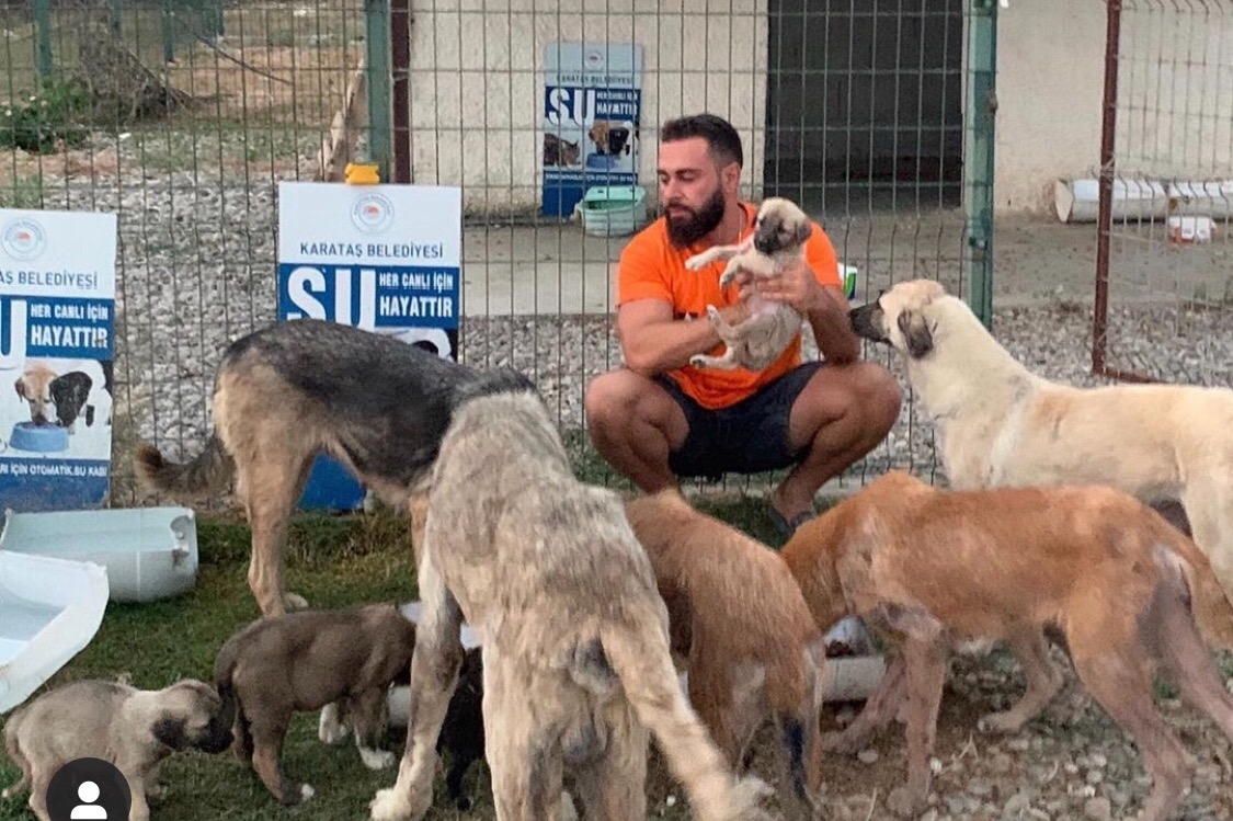 Fundraiser by Aliya Topal : Dev Naz Dog Rescue- TURKEY