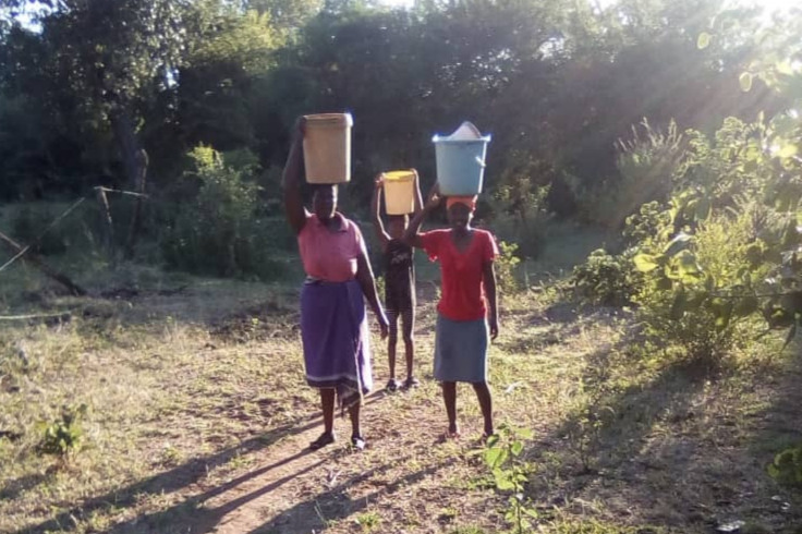 Fundraiser by Dale Rimkus : Clean Water Well for a Village in Zimbabwe