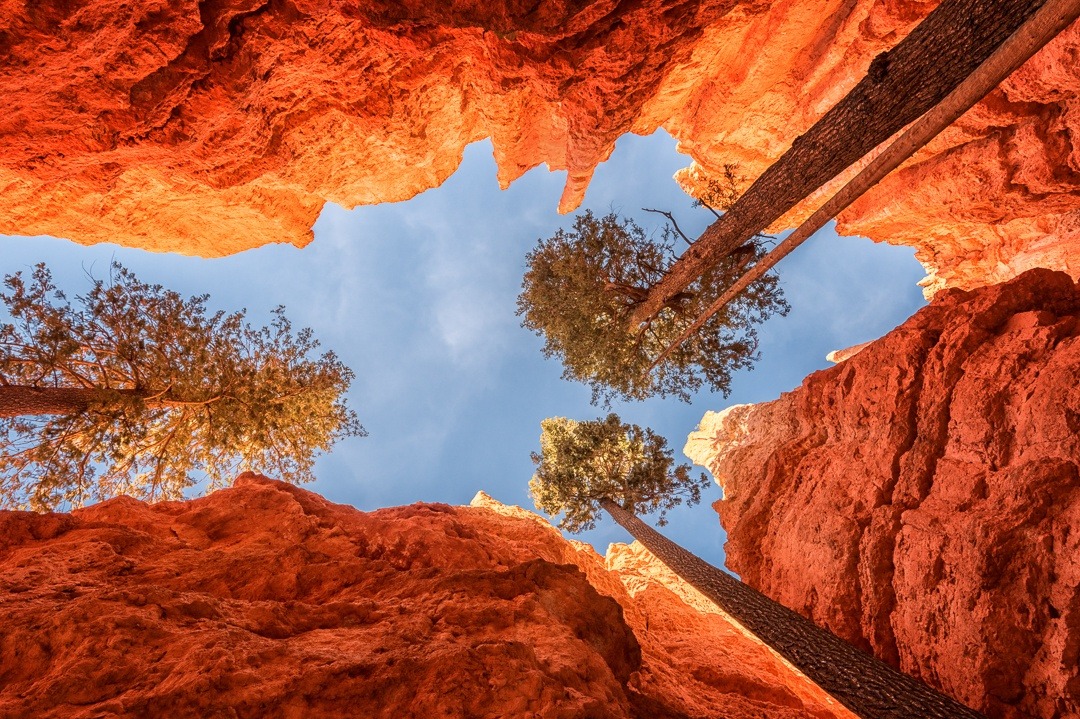 Fundraiser for Jackson Fong by Wiley Rittenhouse : Rent help for a friend