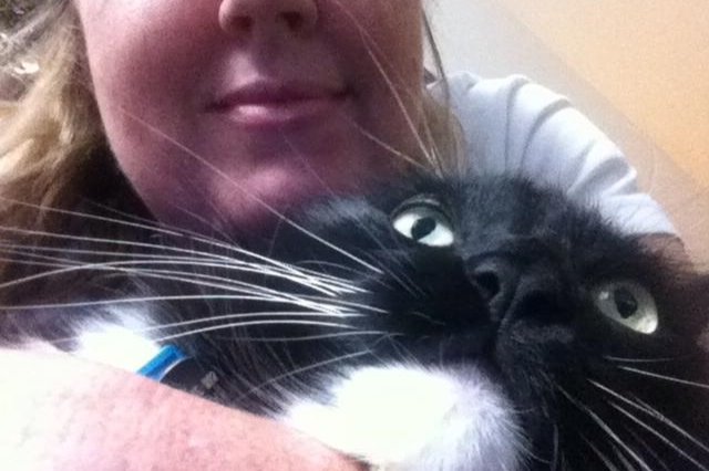 Fundraiser for April Davis PI by Lisa Schlecht : April Davis, PI ...