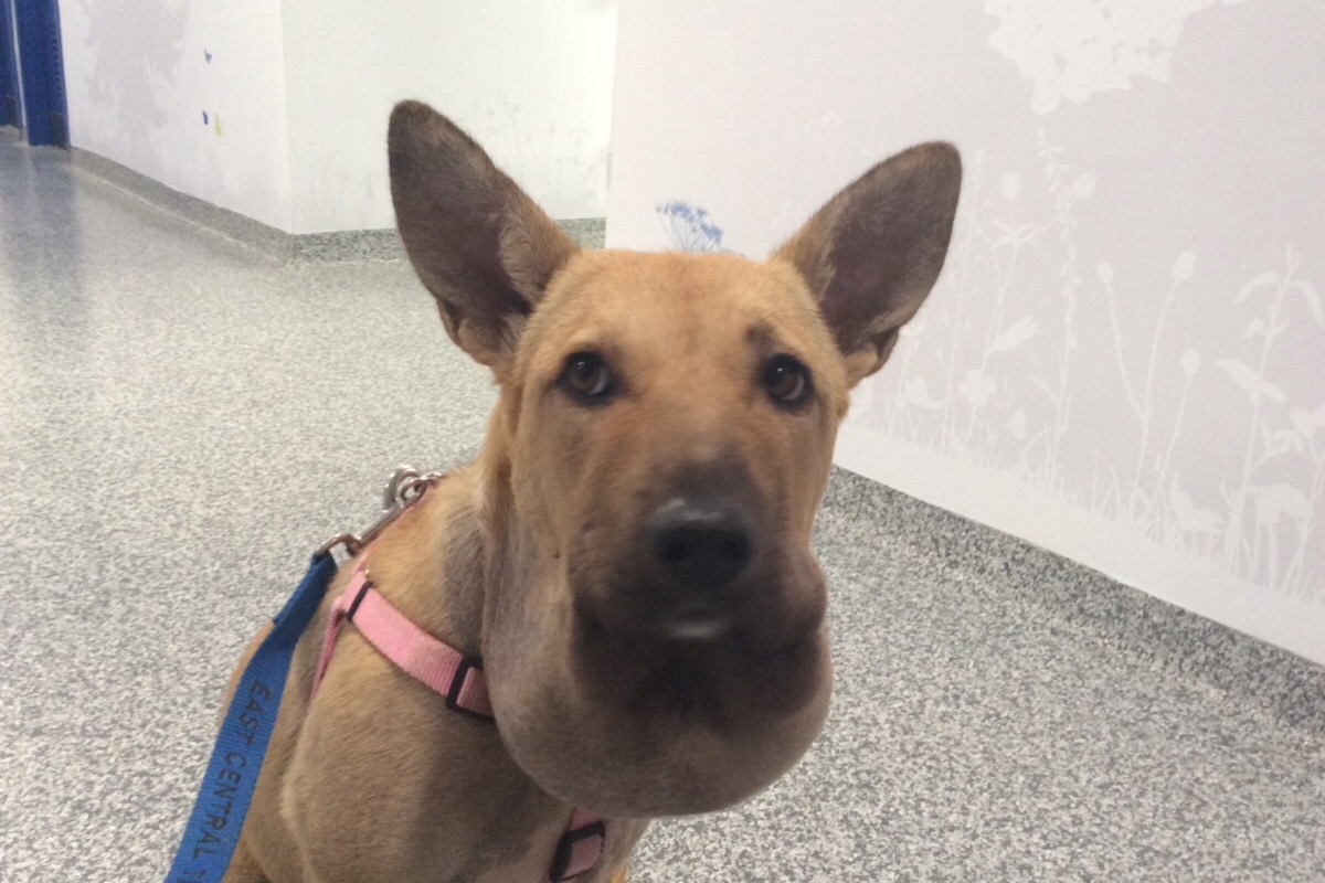 Fundraiser by Anette Tar : Layaly