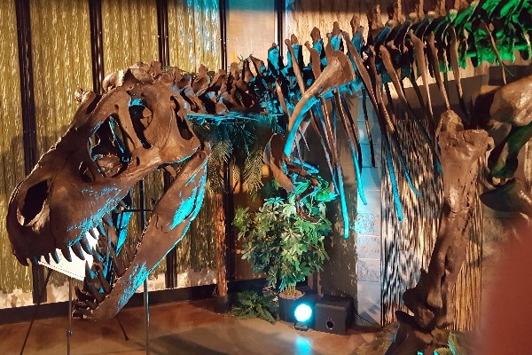 Fundraiser by Dave Daniels : Ivan the T. Rex