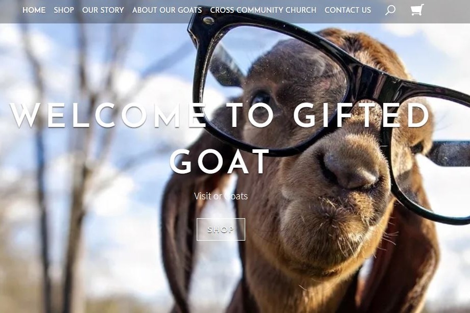 Fundraiser by Todd Gift : 1st Annual Goat Feed Drive