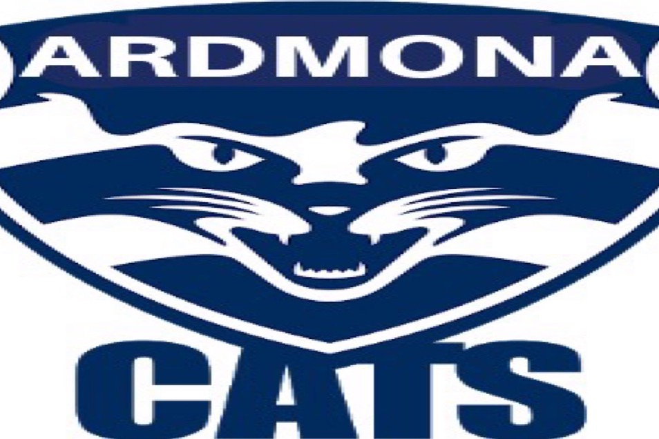 Fundraiser by Teisha McCoy : Save Ardmona Football Netball Club