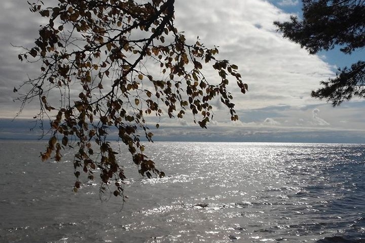 Fundraiser by Kathy Koski : Stephen Koski