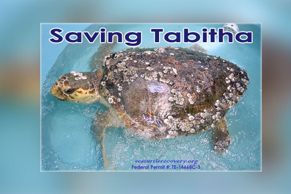 Fundraiser by Bill Deerr : Saving Tabitha