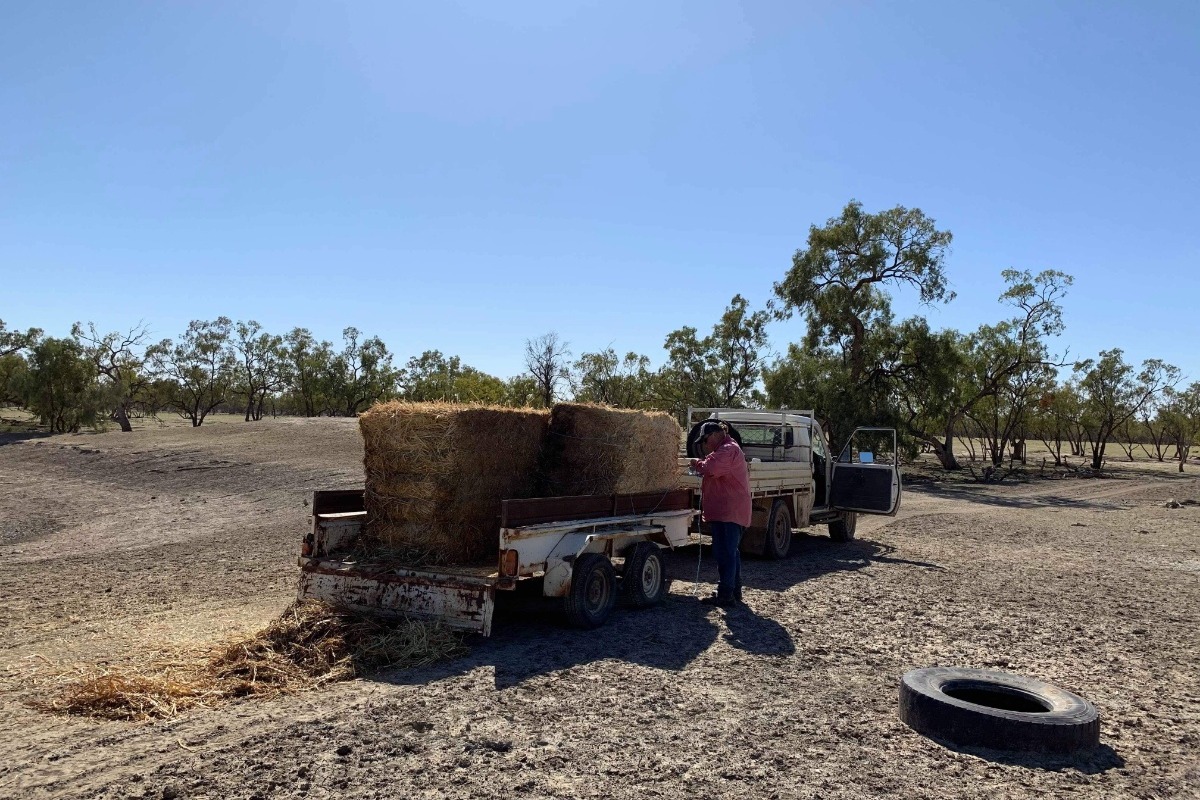 Fundraiser by Kane Boyle : Bale4Battlers
