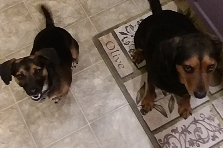 Fundraiser by Sarah Joslin : Joslin Family International Adoption Journey