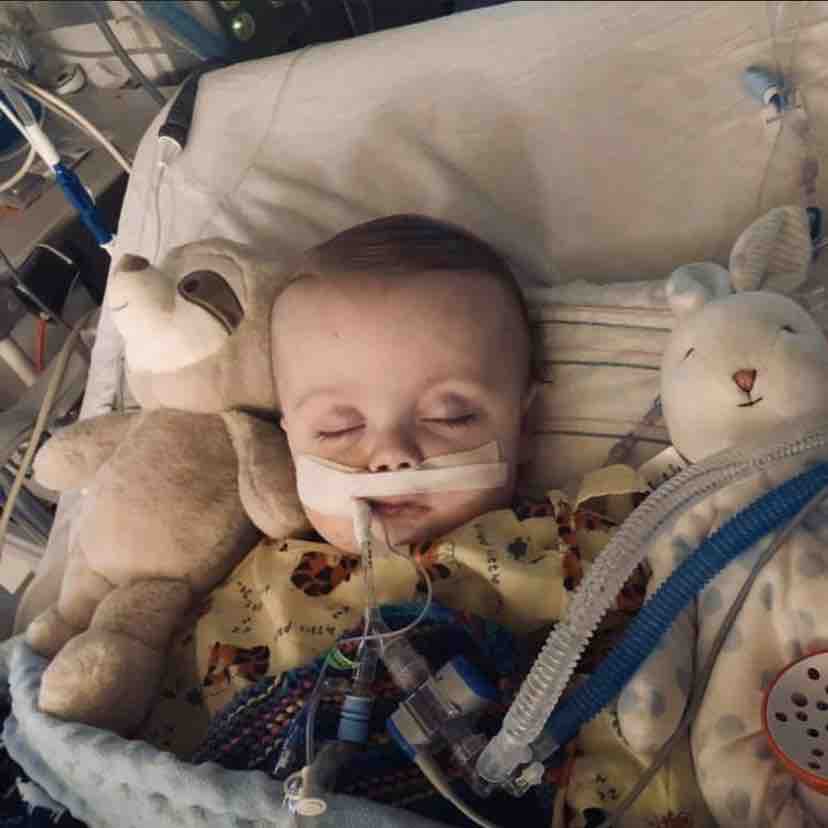 Fundraiser for Patrick Loftus by Katherine Loftus Talbot : Logan Loftus ...