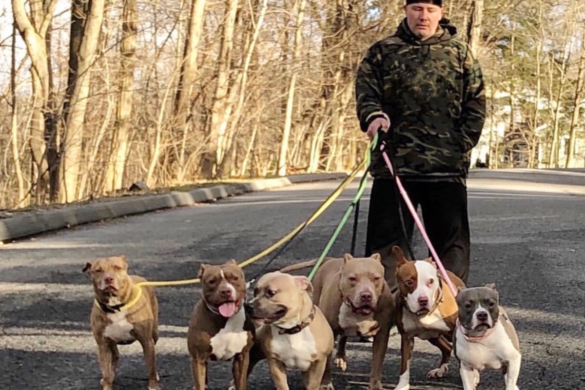 Fundraiser by Reggie Slack : Big Dog Rescue and Sanctuary