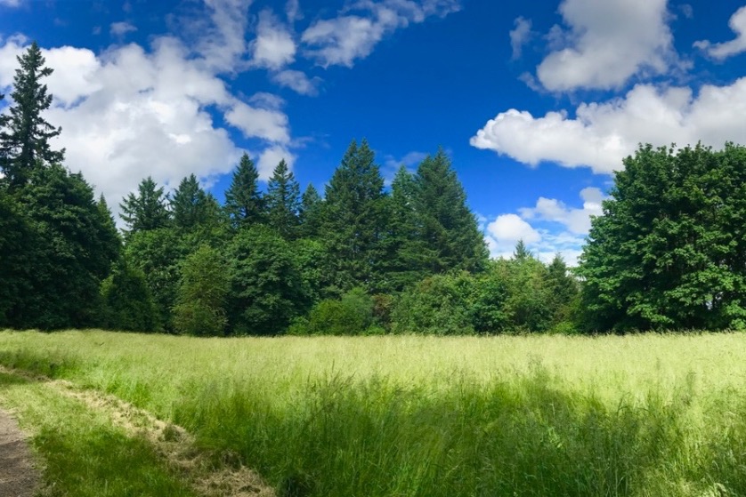 Fundraiser by Scott Handley : Protect LO Parks - Save Cooks Butte