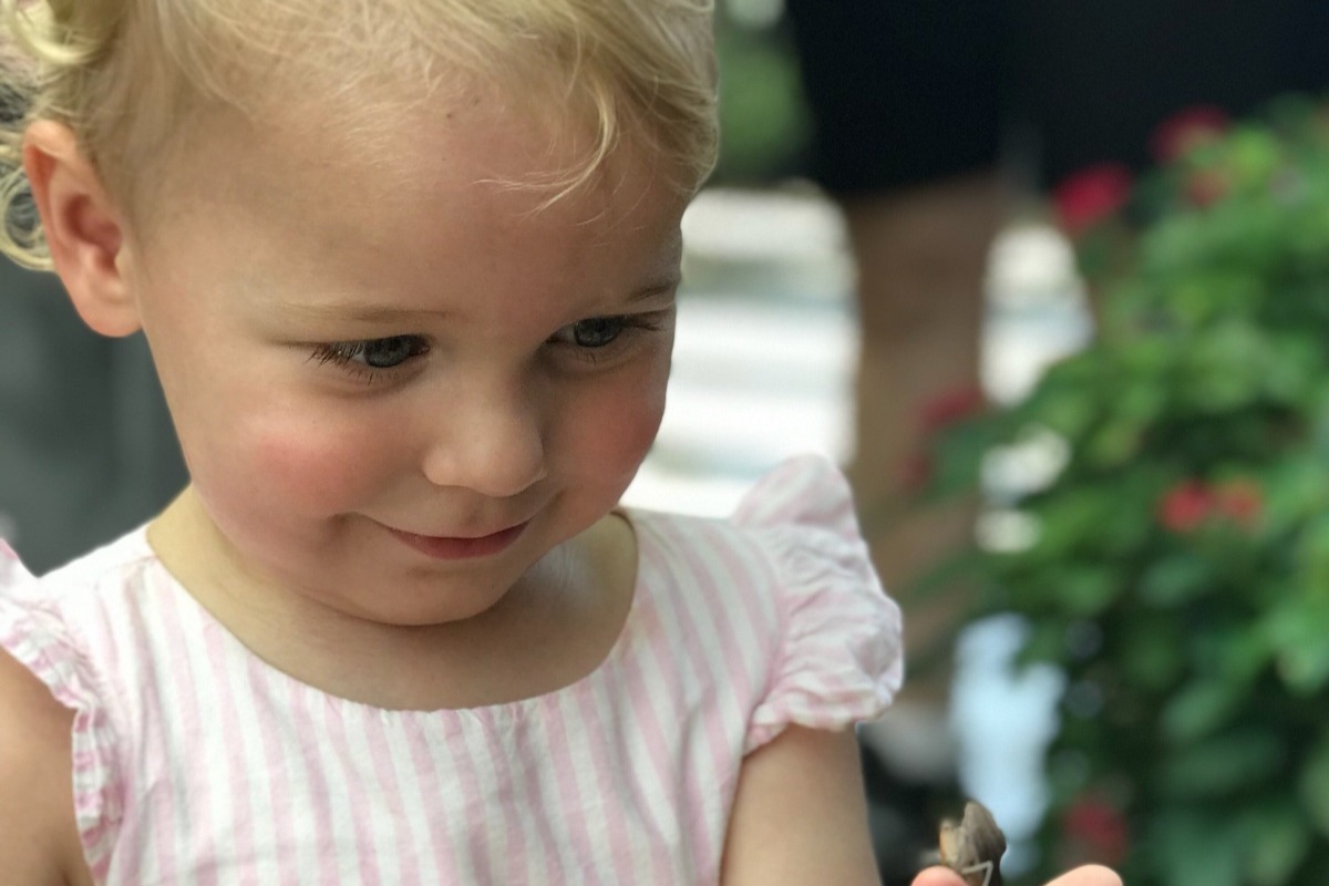 Fundraiser for Greg Crow by Sara Shaw : In Memory of London Crow