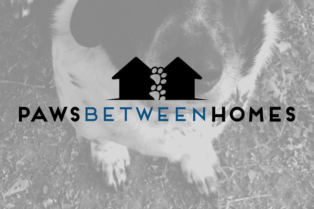 Fundraiser by Cole Thaler : Help Launch Paws Between Homes!