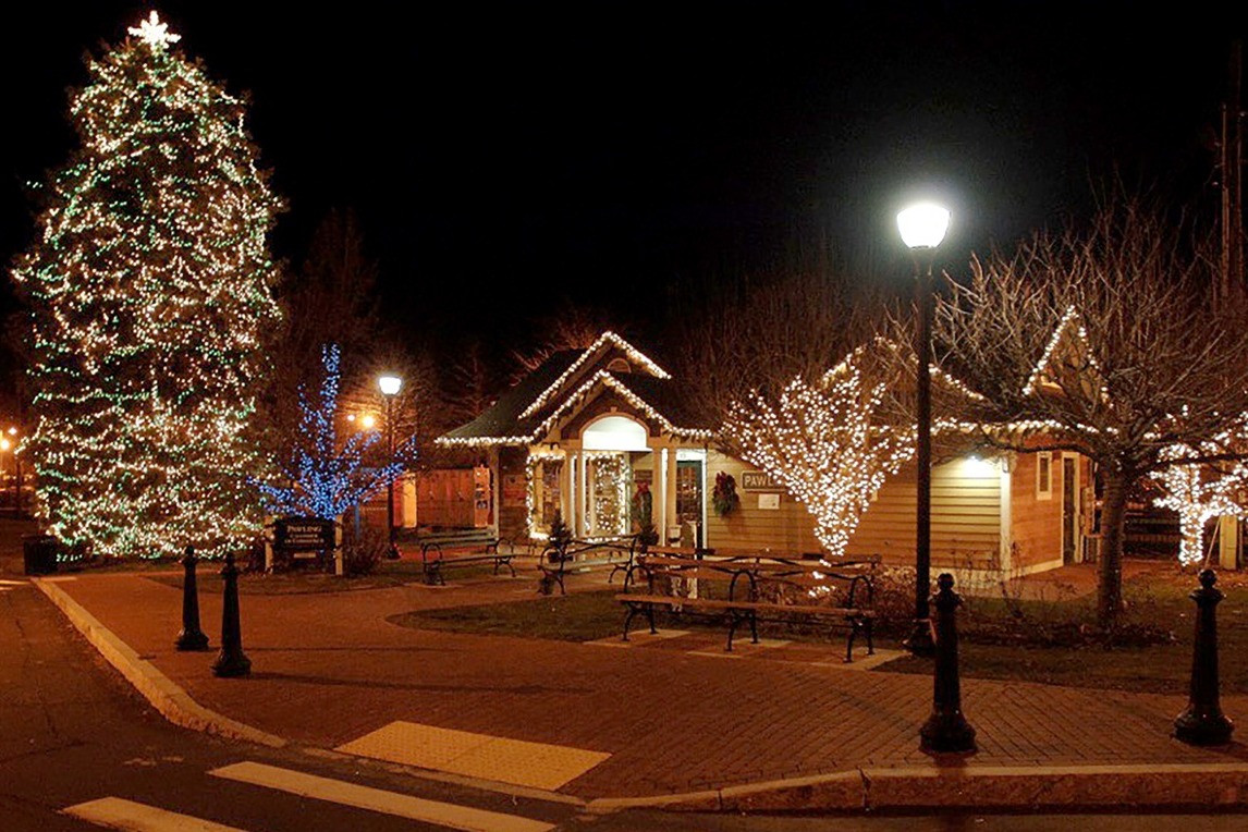 Fundraiser for Andrew Carlucci by Pawling Tree Lighting : Pawling Tree ...