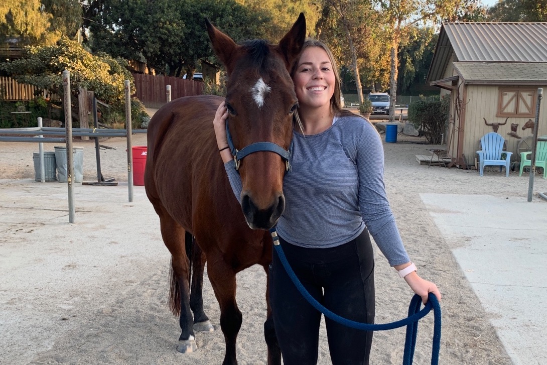 Fundraiser by Isabel Openshaw : Global Veterinary Semester Abroad