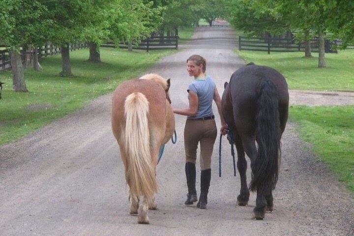 Fundraiser for Diane McCool by Hannah Schofield : Help Diane get back ...