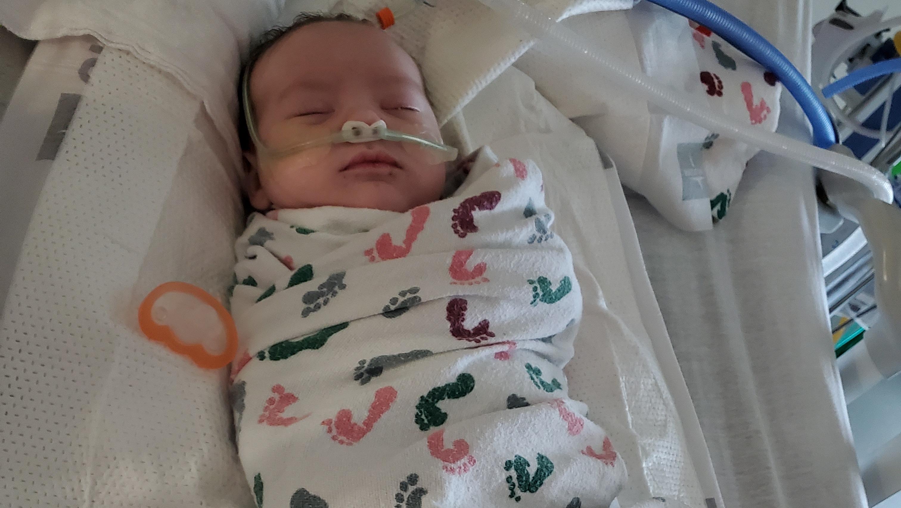 Fundraiser by Patricia Monoian : Drekus at Childrens Hospital in Seattle
