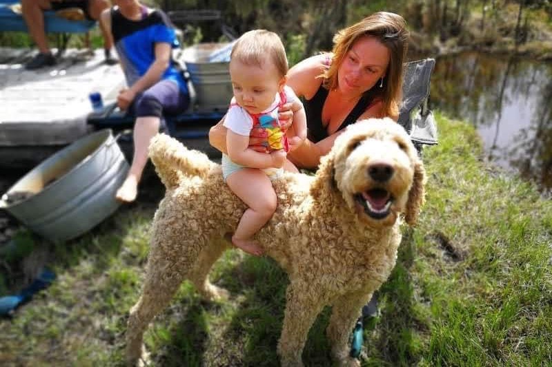 Fundraiser for Dallas-Rae Gaven by Mindy Margeson : Support Dallas ...