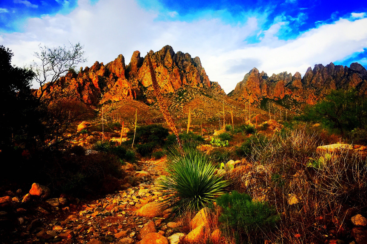 Fundraiser by Julia Smith : Birth of the Acid Western