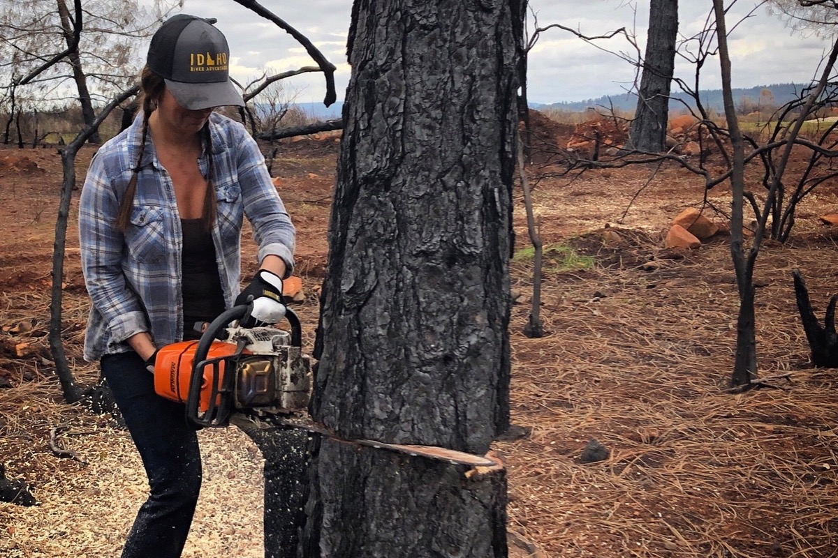 Fundraiser by Kristy Edmonds : Scorched land needs trees & shade