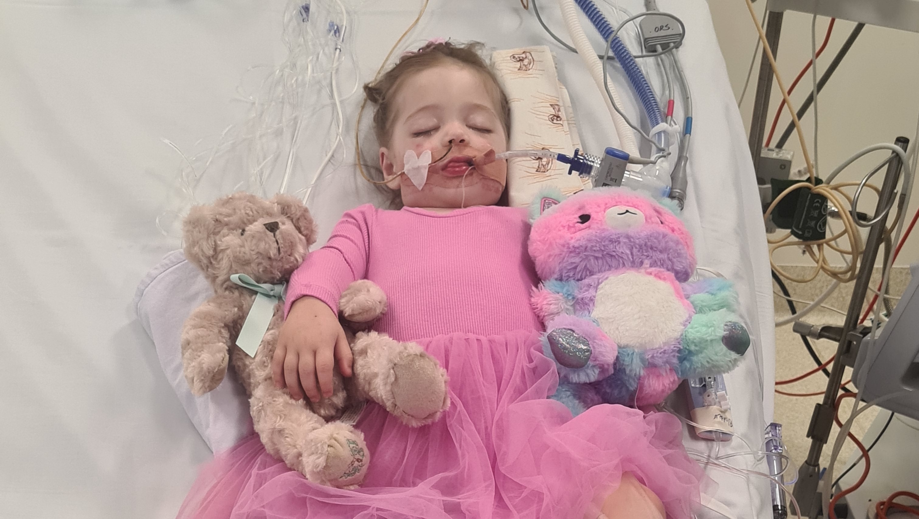 Fundraiser for Carly Mulheran by Alina Tooley : Help Carly fight for ...