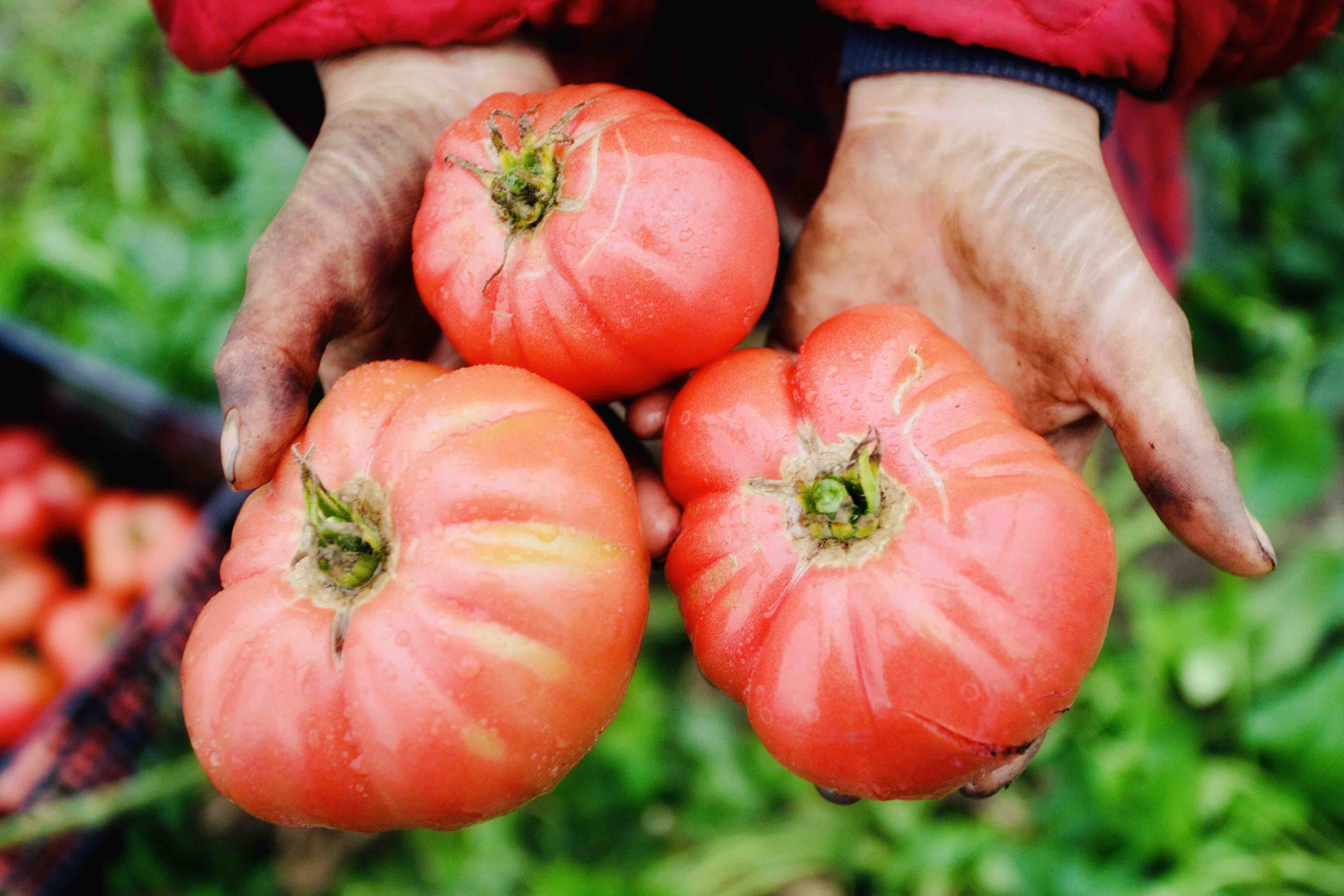 Fundraiser by Clara Coleman : #RealFarmerCare - Let’s care for our farmers