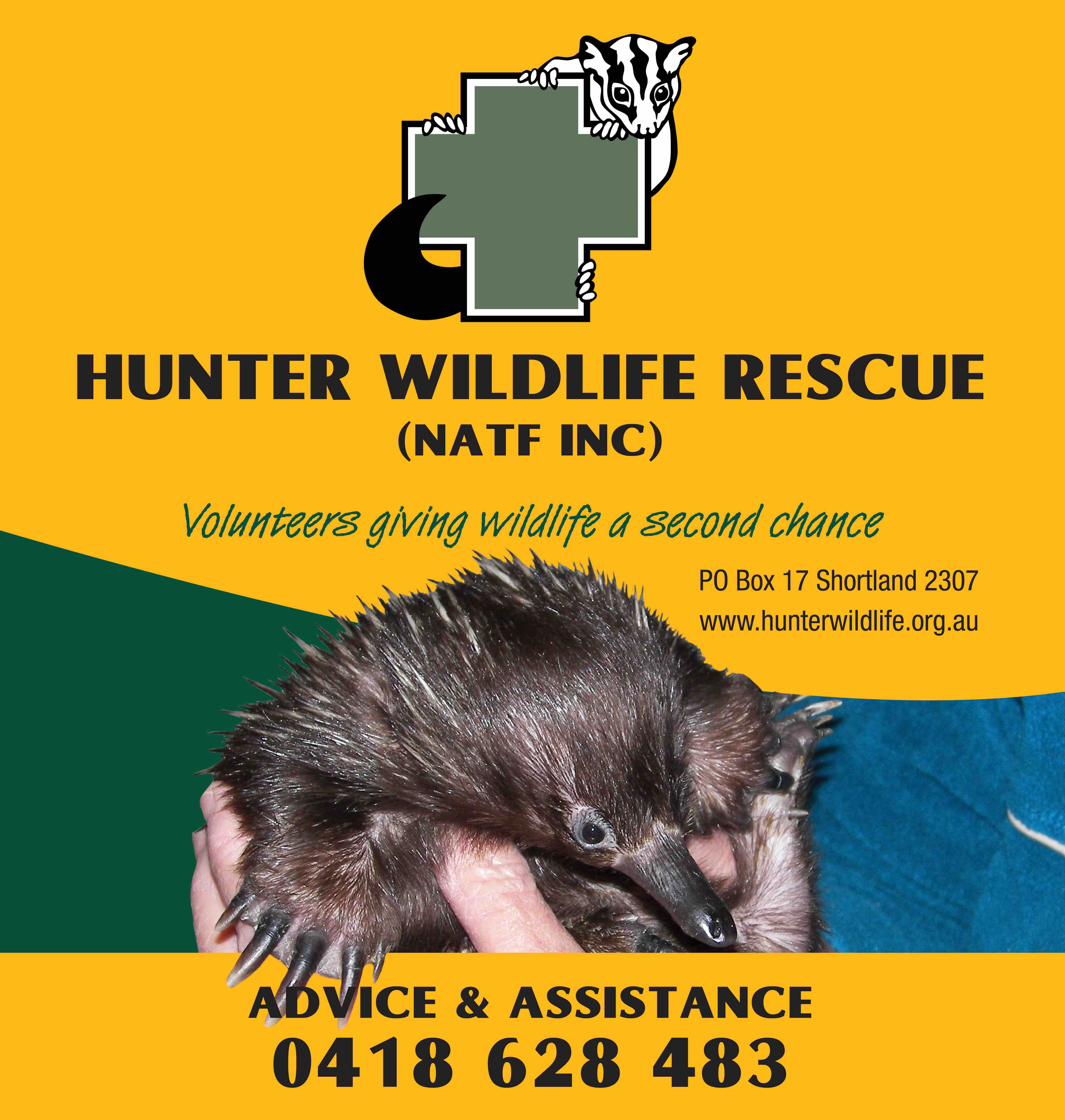 Fundraiser by Casey H : Hunter Wildlife Rescue NATF inc