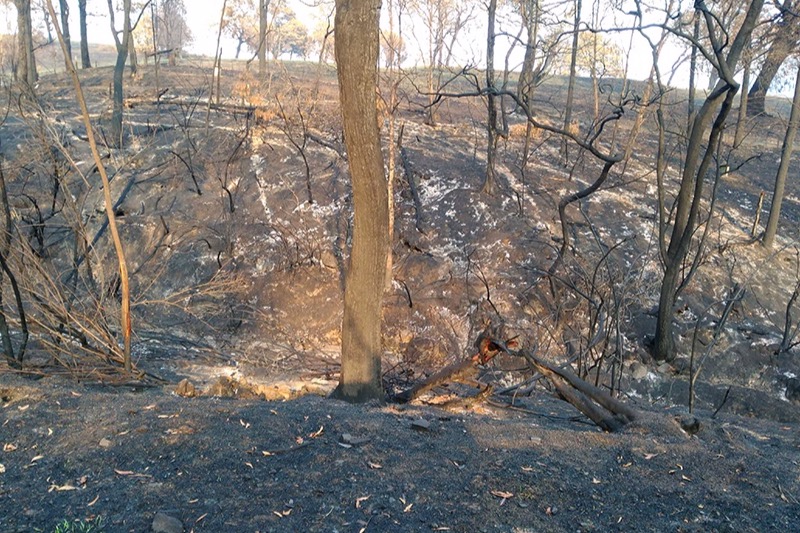 Fundraiser for David Marsham by Tikka Wilson : Rebuild Agneya's place