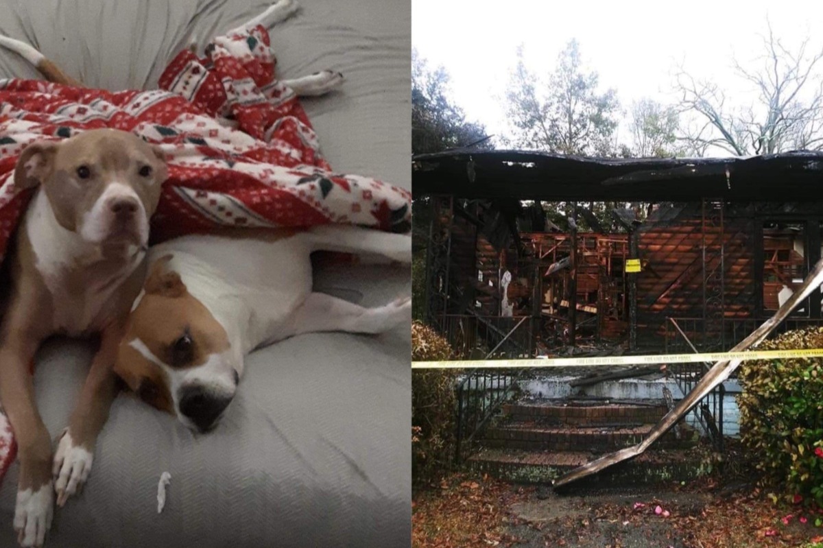 Fundraiser for Alyssa Ransom by Danielle Pagan : Alyssa Ransom house fire