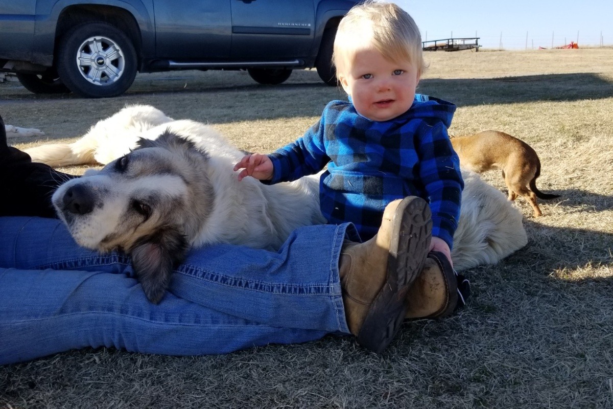 Fundraiser for Jessica Goodin by Jana Davies : Baby Mason funeral