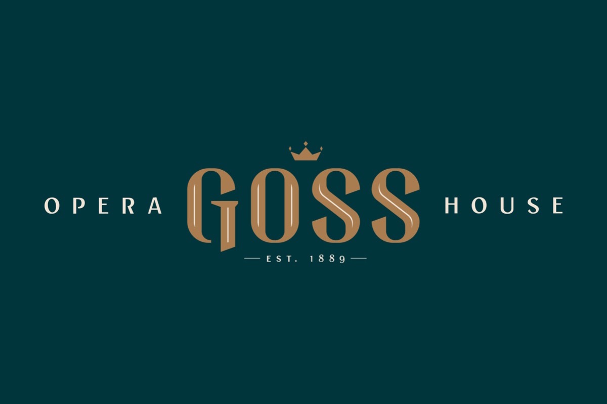 Fundraiser by Chris Paulson : Light Up The Goss