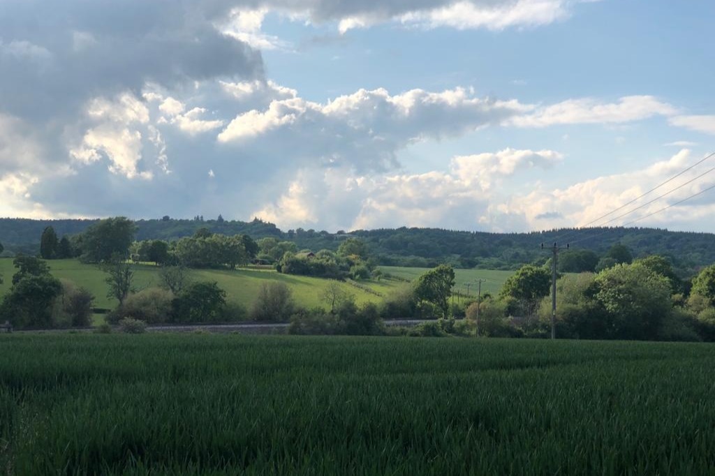 Fundraiser by Kbgg Kbgg : Keep Beare Green Green