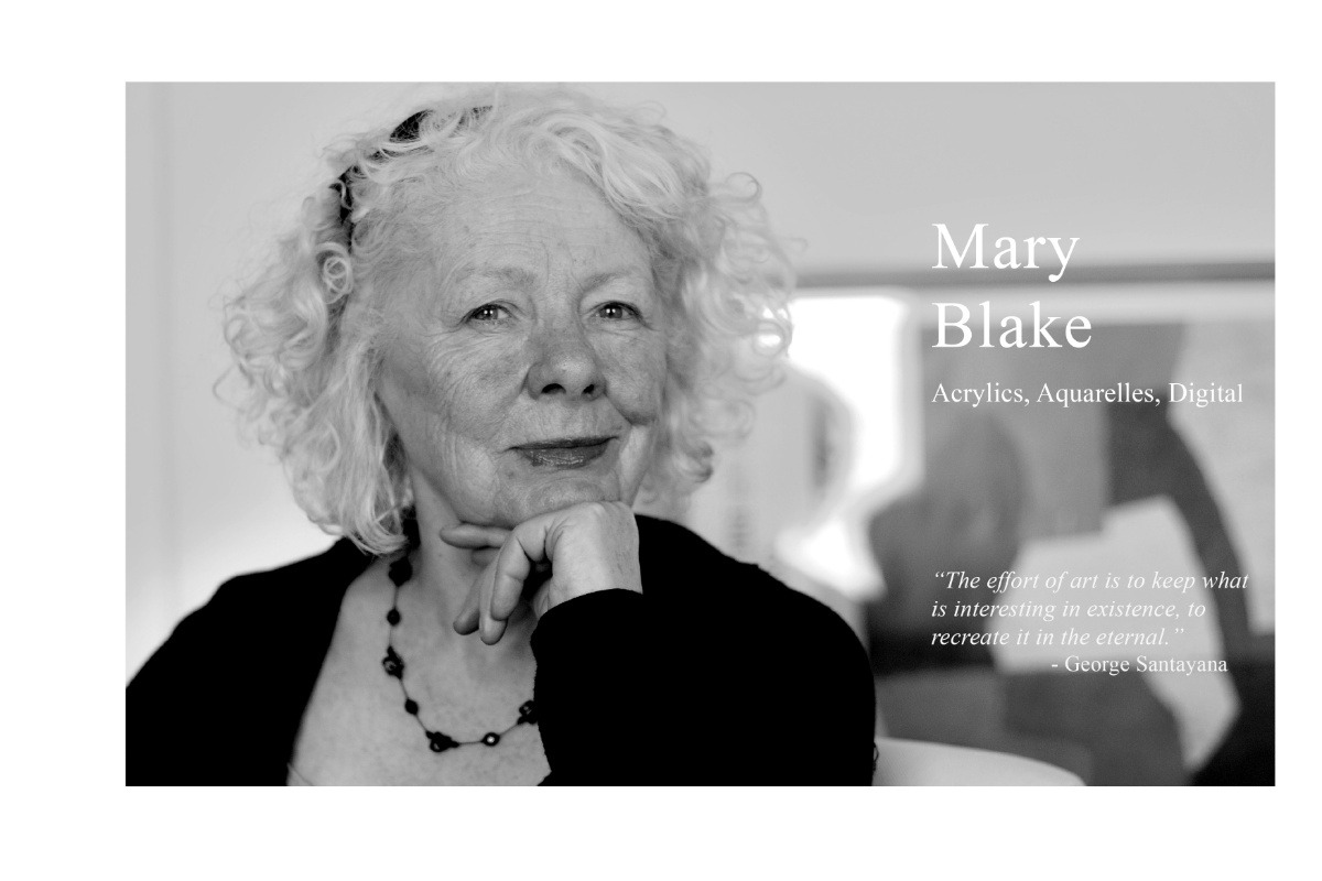 Fundraiser by Emily Lodge : Artist Mary Blake