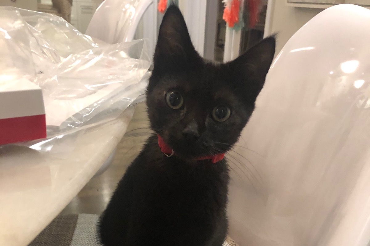 Fundraiser by Jamie Kwiatkowski : Will You Be My Valentine?