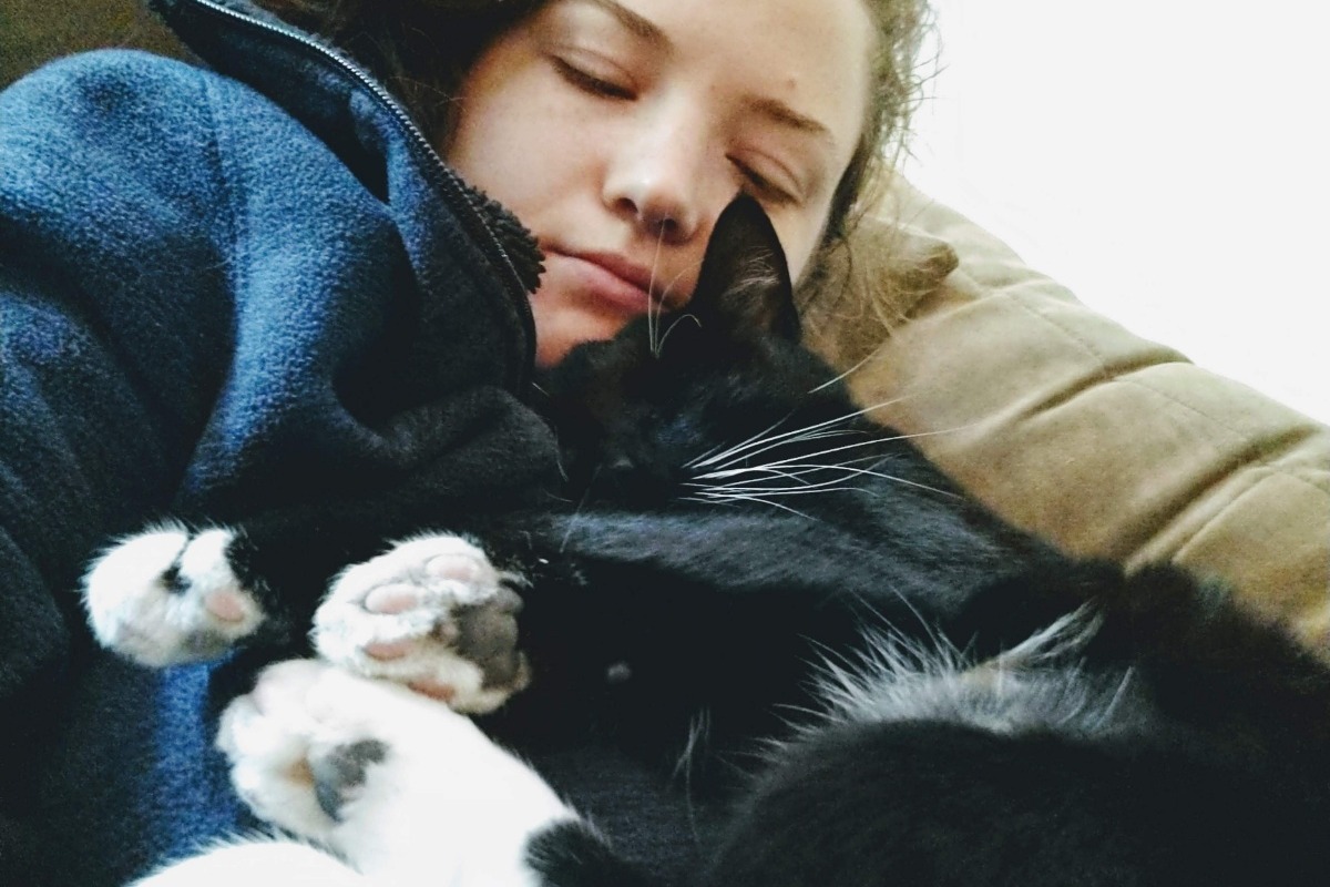 Fundraiser by Zoey Rice : Life-saving surgery for my baby, Plum the Cat!