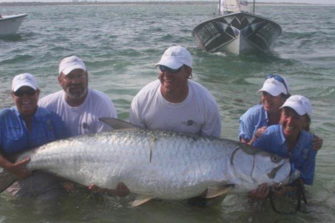 Fundraiser for Andrew Peduzzi by Gavin McLay : Benefit for Andrew Peduzzi