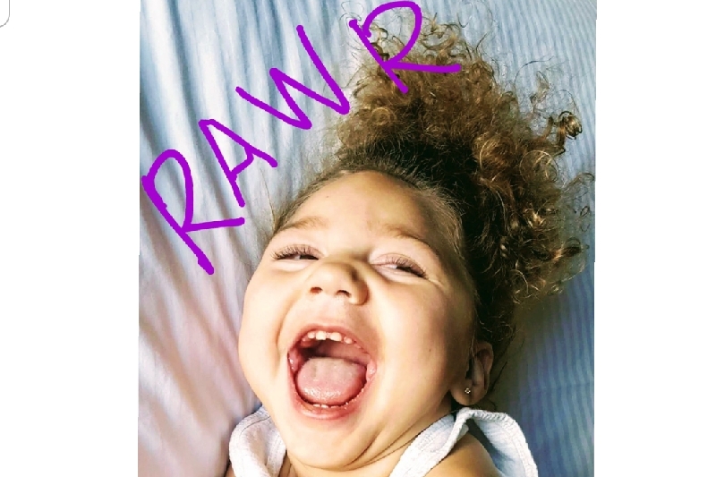 Fundraiser by Ericka Clement : Zozo's Memorial Fund