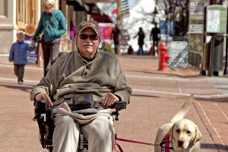 Fundraiser by Stephen Landis : New Wheelchair for Robin