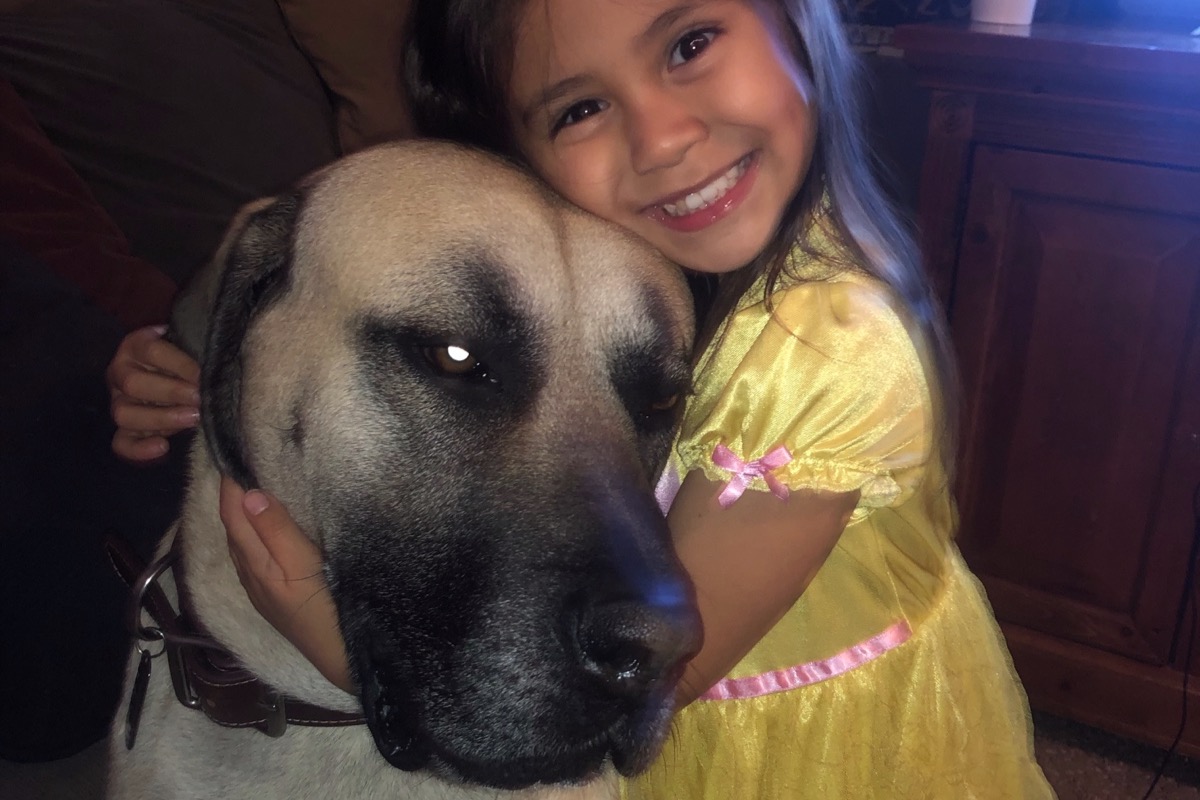 Fundraiser for Angela Pimentel by Nathaniel Pimentel : Meatball Needs ...