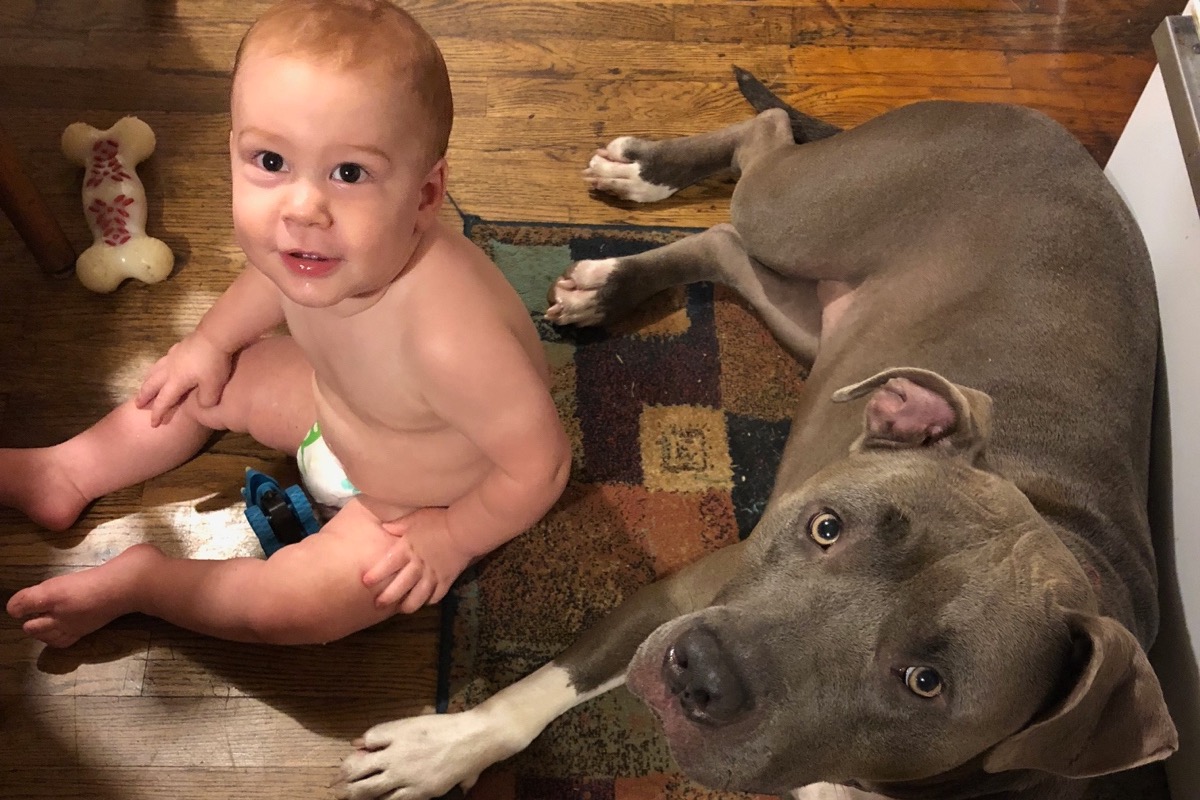 Fundraiser for Katelynn Fleming by Marley Booth : Fleming Family House Fire